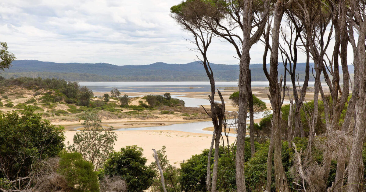 Things to Do Near Kalaru Holiday Village | Sapphire Coast