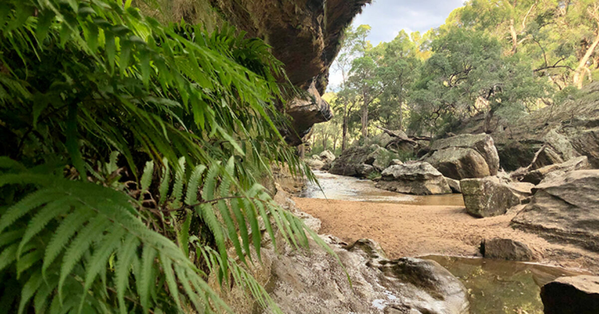 Mudgee Holiday Park | The Drip Gorge & Munghorn Gap Nature Reserve